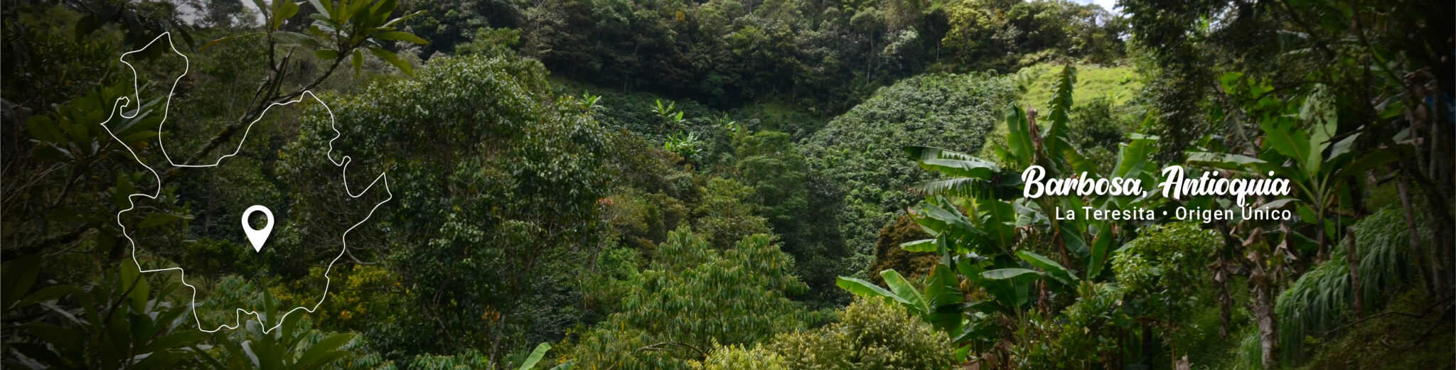Café Origen Único - Hatillo Coffee Colombia